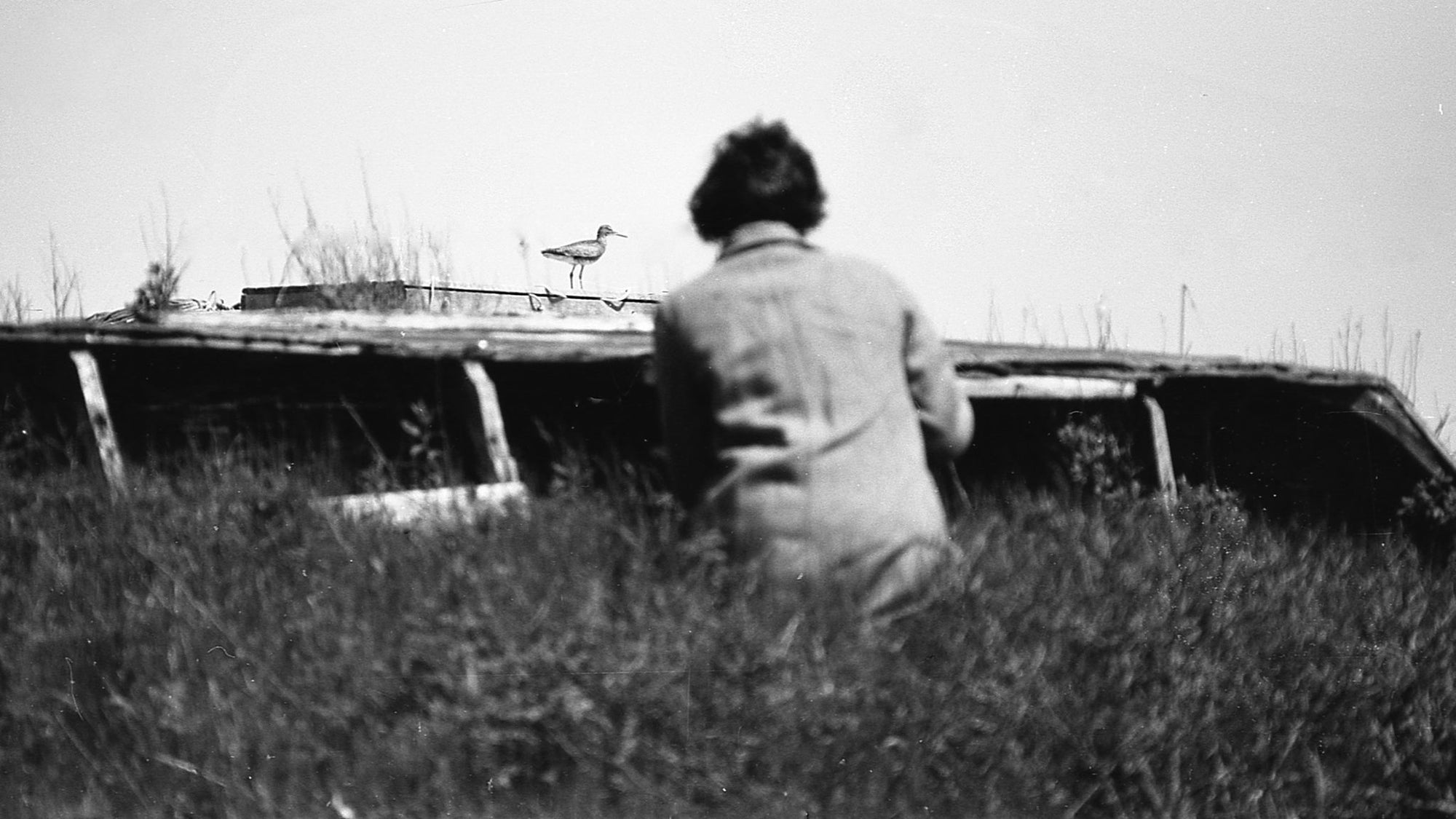 Purcell Family Art Gallery – Art by the Purcell Family