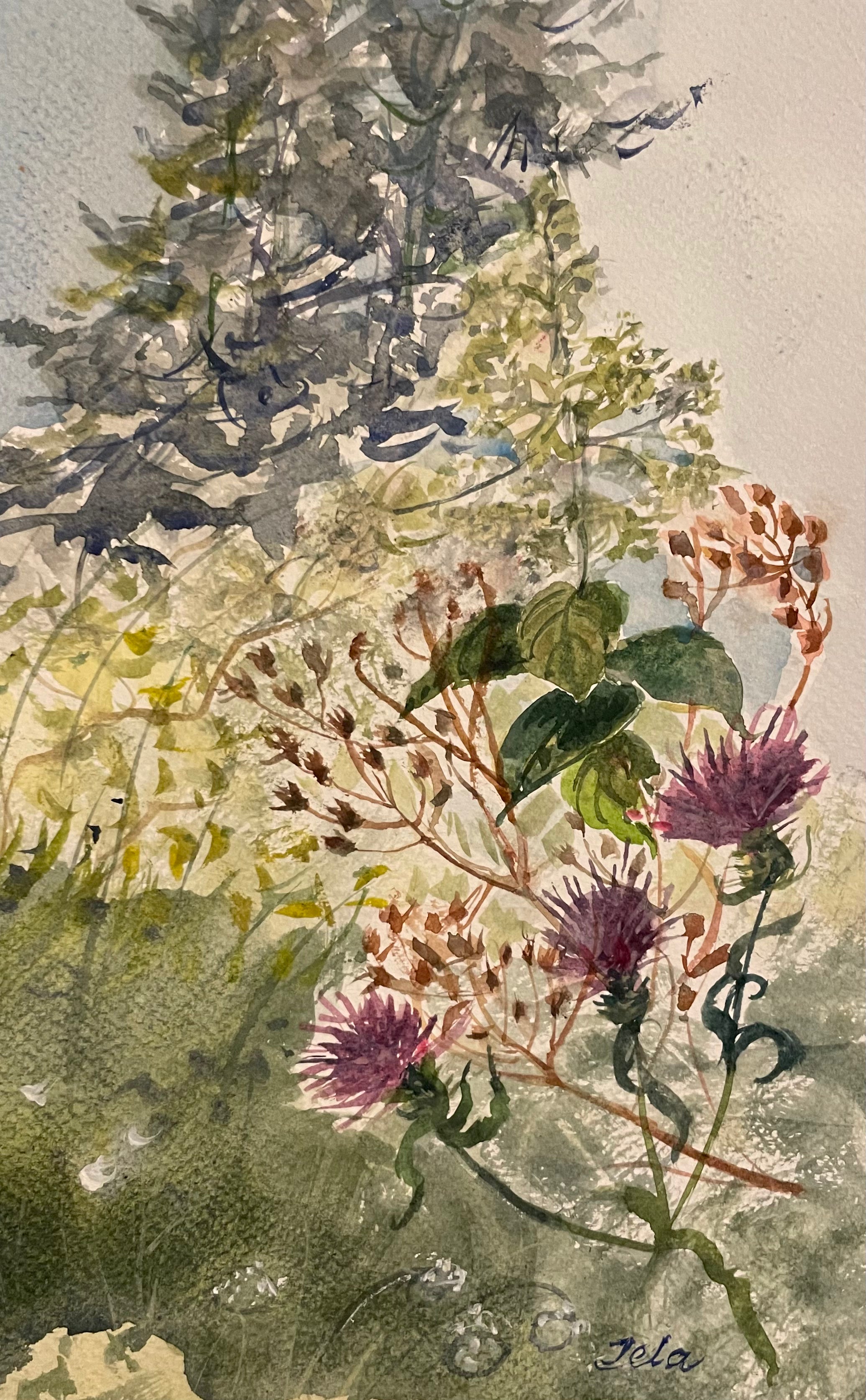 Late Summer Flowers, Original Watercolour by Tela – Art by the Purcell ...